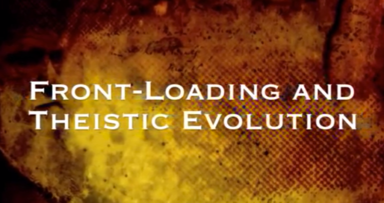 God and Evolution Video Clips | Faith and Evolution